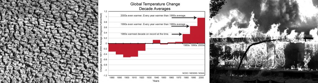 Declining Insects — Declining World: Part 2 Causes of Insect Decline ...
