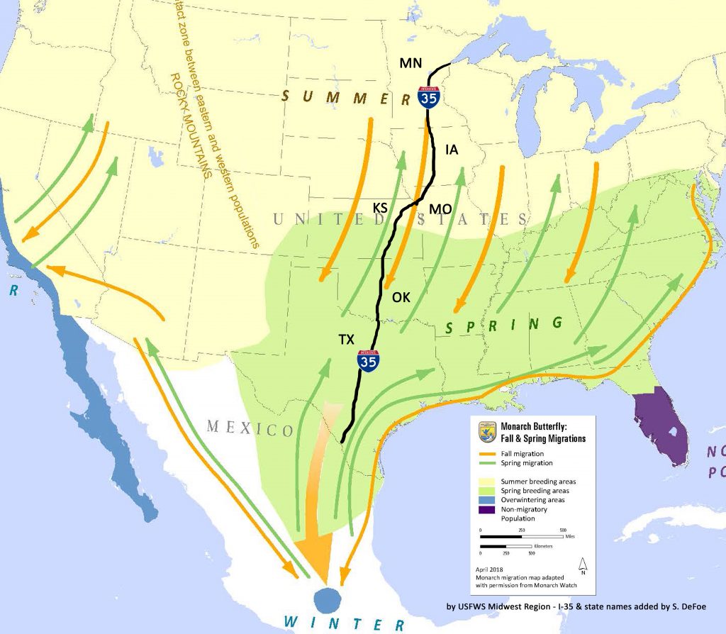 Monarch Butterfly Migration Route Map