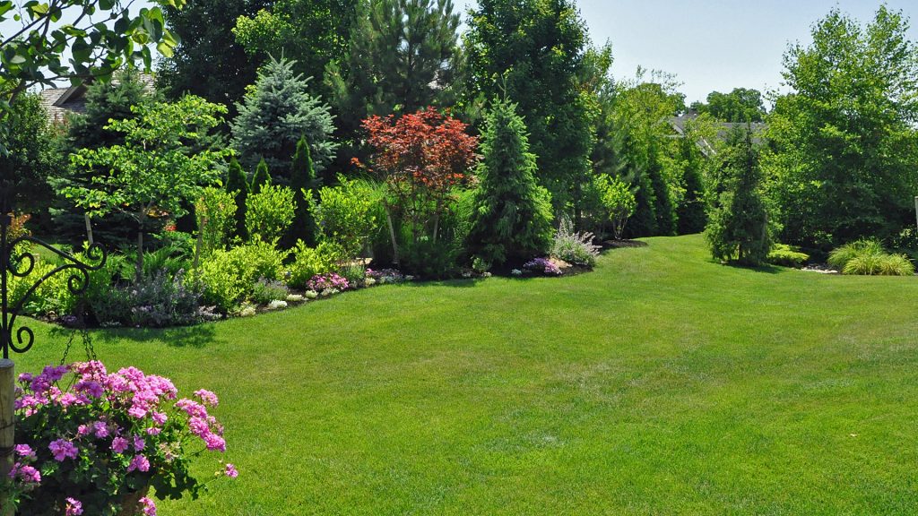 Designing A Border That Delights - Blog - Embassy Landscape Group