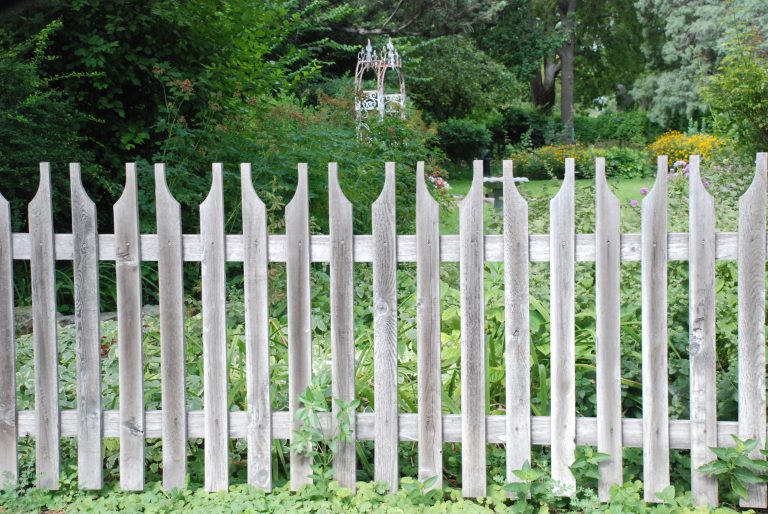 Line, Form And Texture In The Garden - Blog - Embassy Landscape Group