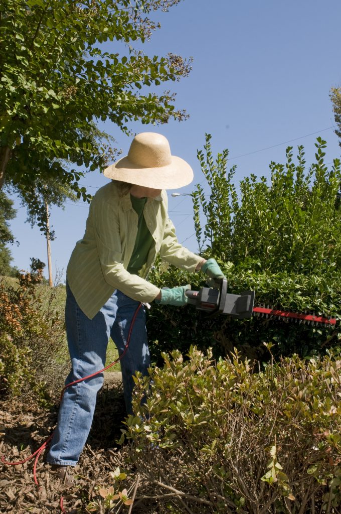 Low Maintenance Landscaping - Blog - Embassy Landscape Group